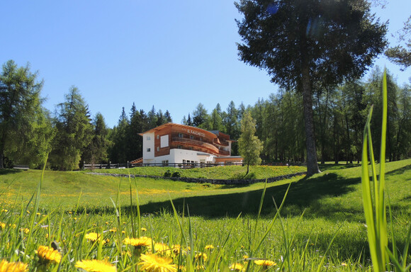Livo: per gli amanti del trekking, escursioni sulle Dolomiti - Trentino