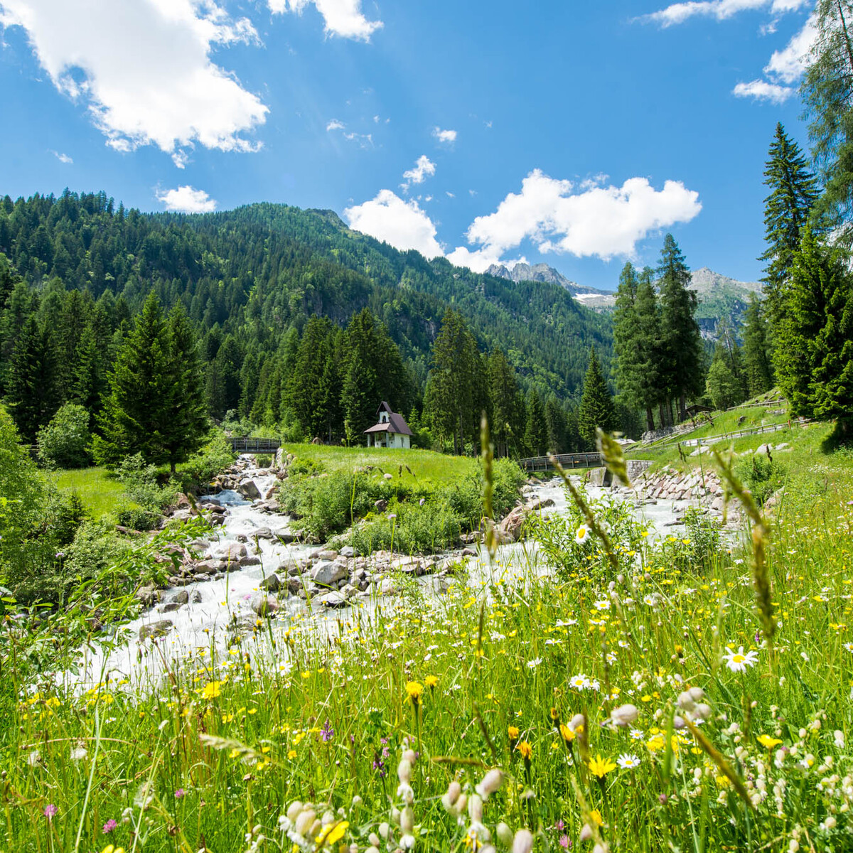 Valle di Daone - Natura - Luoghi incantevoli - Trentino