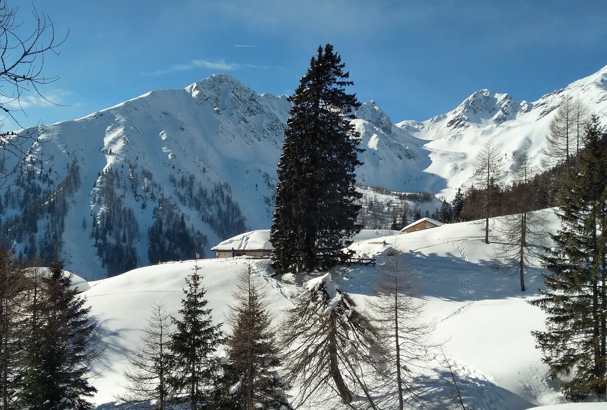 Rumo, the Val di Non character - Discover Trentino - Towns and Villages