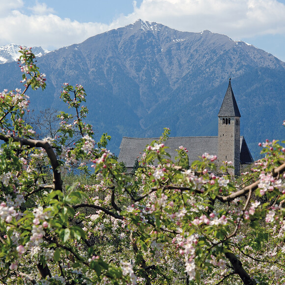 Livo: per gli amanti del trekking, escursioni sulle Dolomiti - Scopri ...