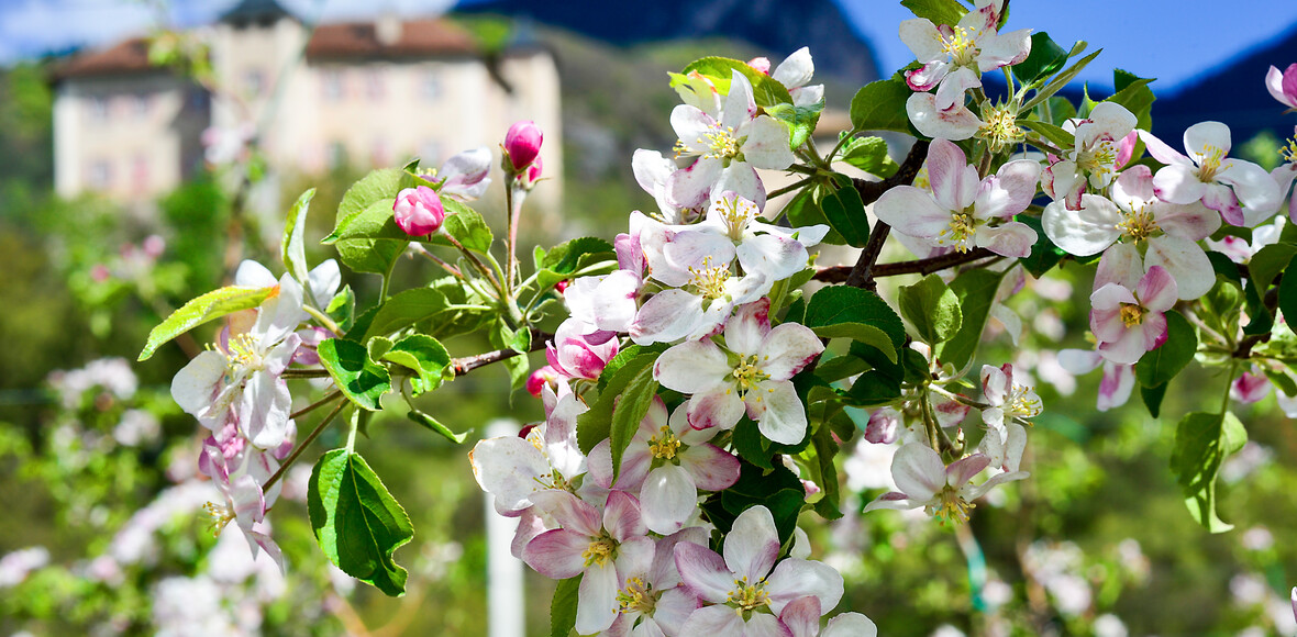 Trentino - What to do - Holiday ideas