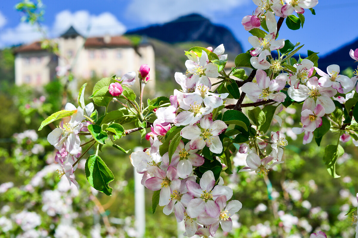 Arriva la primavera - Pasqua e Ponti, scopri tutte le opportunità di ...