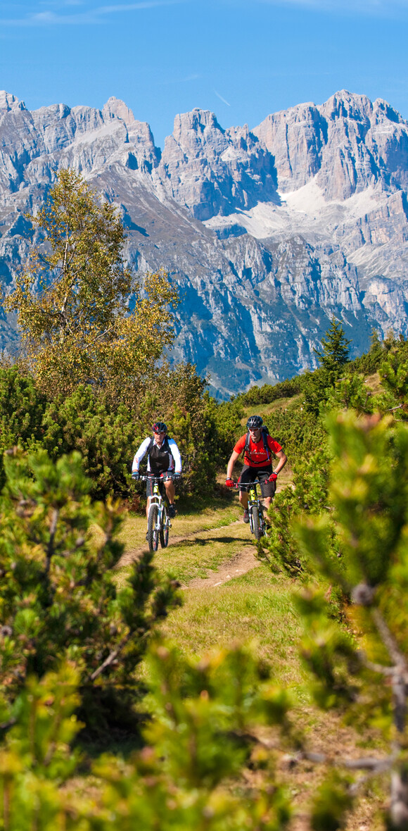 Offizielle Website für Urlaub im Trentino, Dolomiten und Gardasee