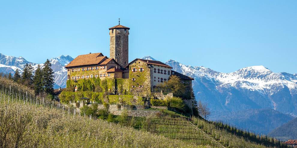 Castles in Trentino: exhibitions and events