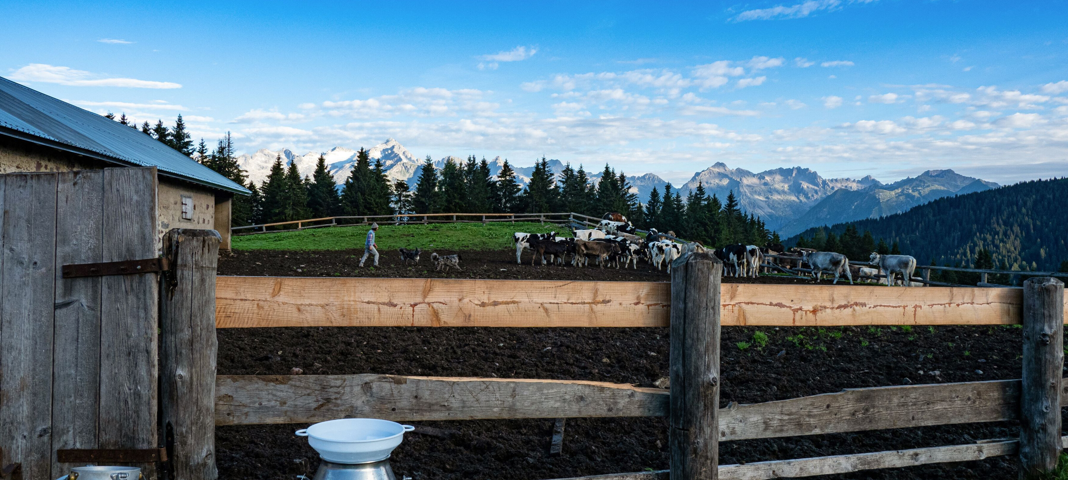 The alpine pasture, the milk and its products