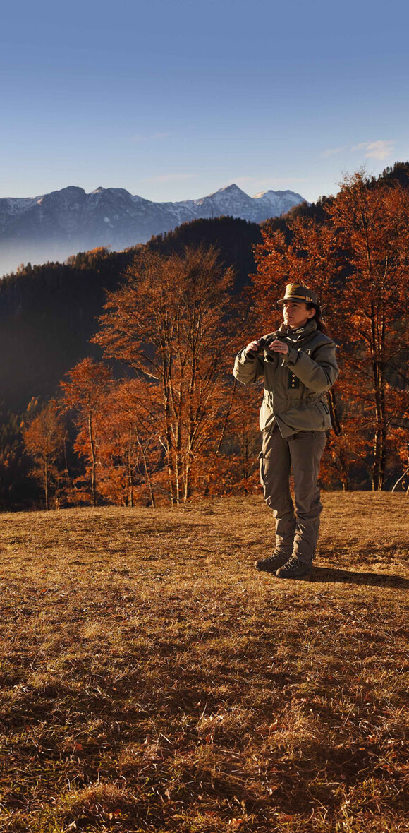 Official site for holidays in Trentino Italy - Italian Alps