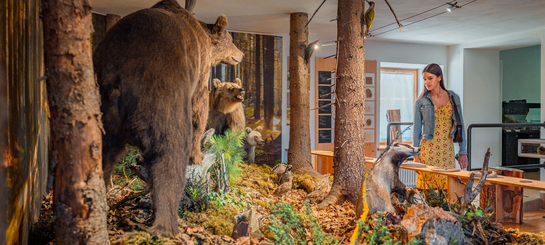 Museo Lusérn: Was es machen und zu sehen gibt, um die Zimbern ...