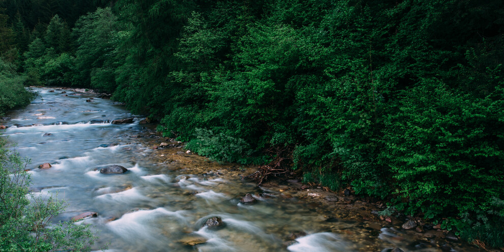 Percorsi sensoriali in Trentino