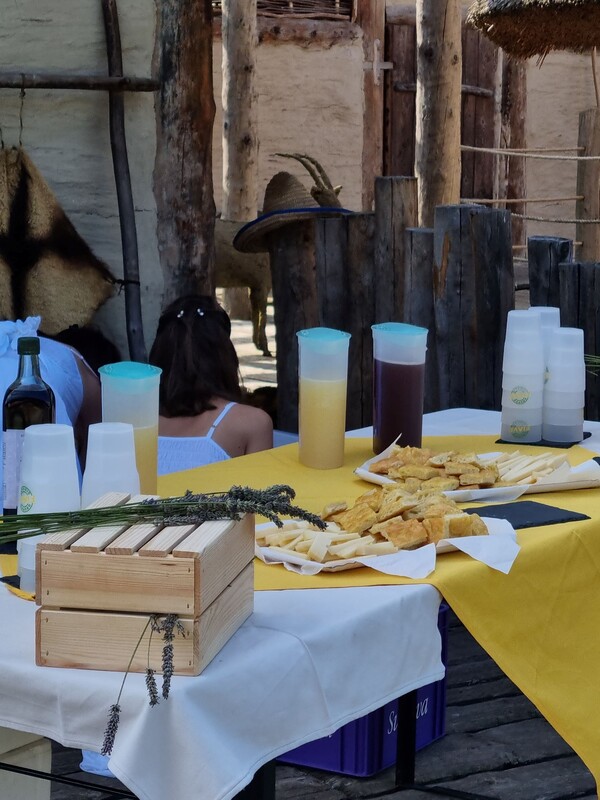 In cammino con il museo - Cosa fare in Trentino - Eventi - Trentino