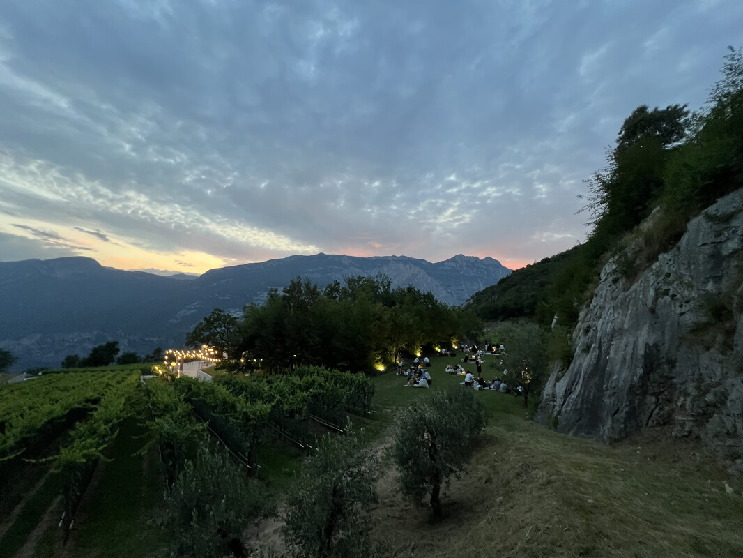 PIC-CIN by Maso Salim - What to do in Trentino - Events