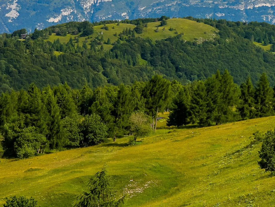 Being woodland, the path of the 12 senses | Garniga - Guide - Events