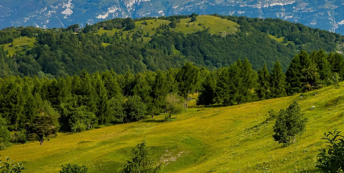 Being woodland, the path of the 12 senses | Garniga - Guide - Events