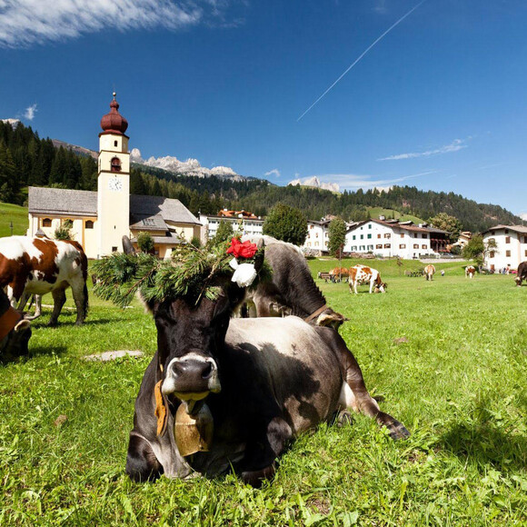 Mercatino di Natale a Rango - Guida - Mercatini di Natale - Trentino