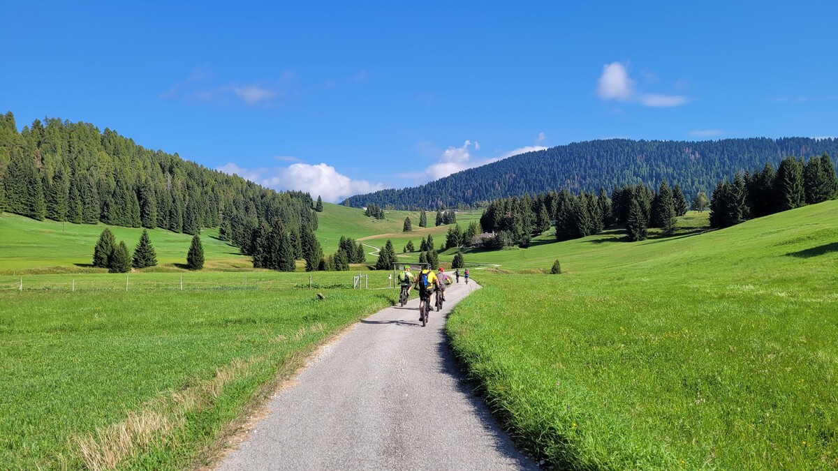 Vivi Tesino: Alla scoperta del Tesino in e-bike - Guida - Eventi - Trentino