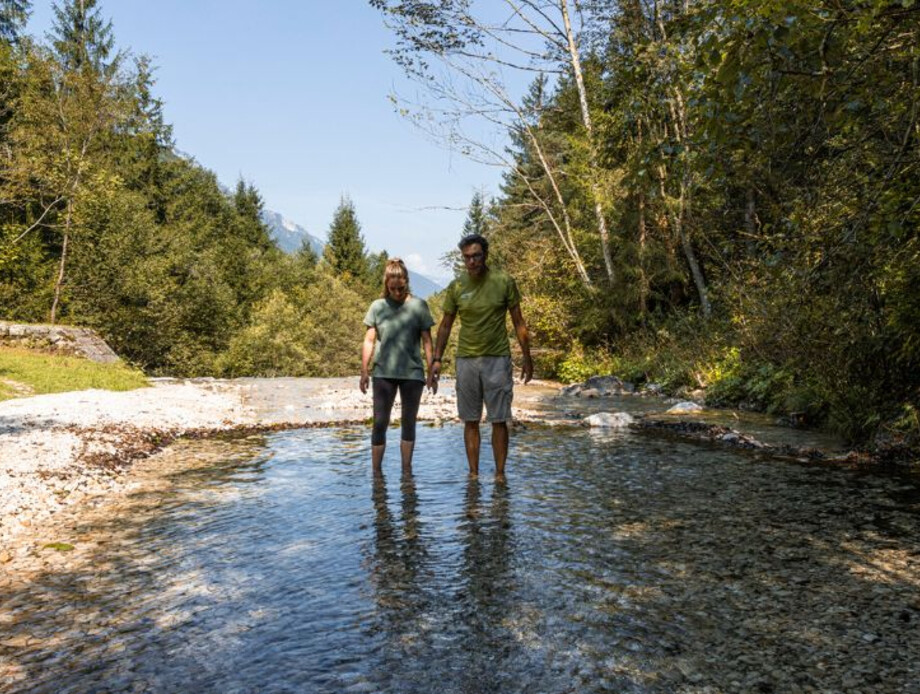 Slow steps in cool water: the Kneipp paths of Vallarsa - What to do in ...