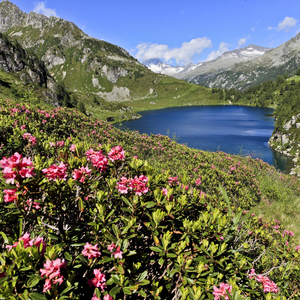 Val di Fumo: escursione nel 'Piccolo Canada' del Trentino - Trentino