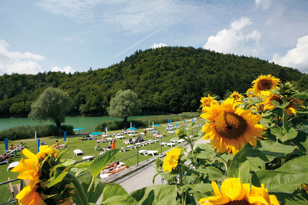 Lago di Lavarone - Natura - Laghi - Trentino