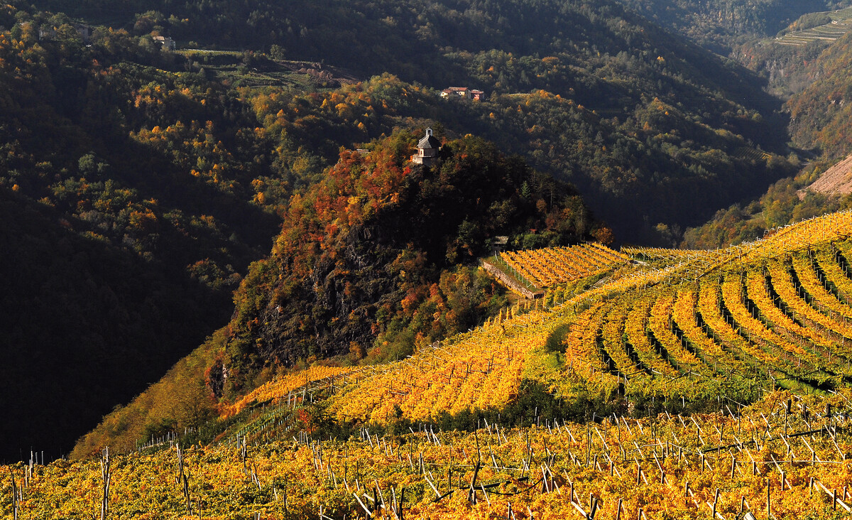 Cembra: Val di Cembra's wines heart - Discover Trentino - Towns and ...