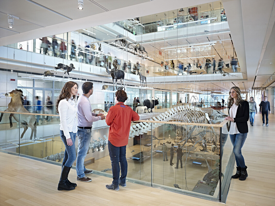 MUSE - Museo delle Scienze - Da Vedere - Musei - Trentino