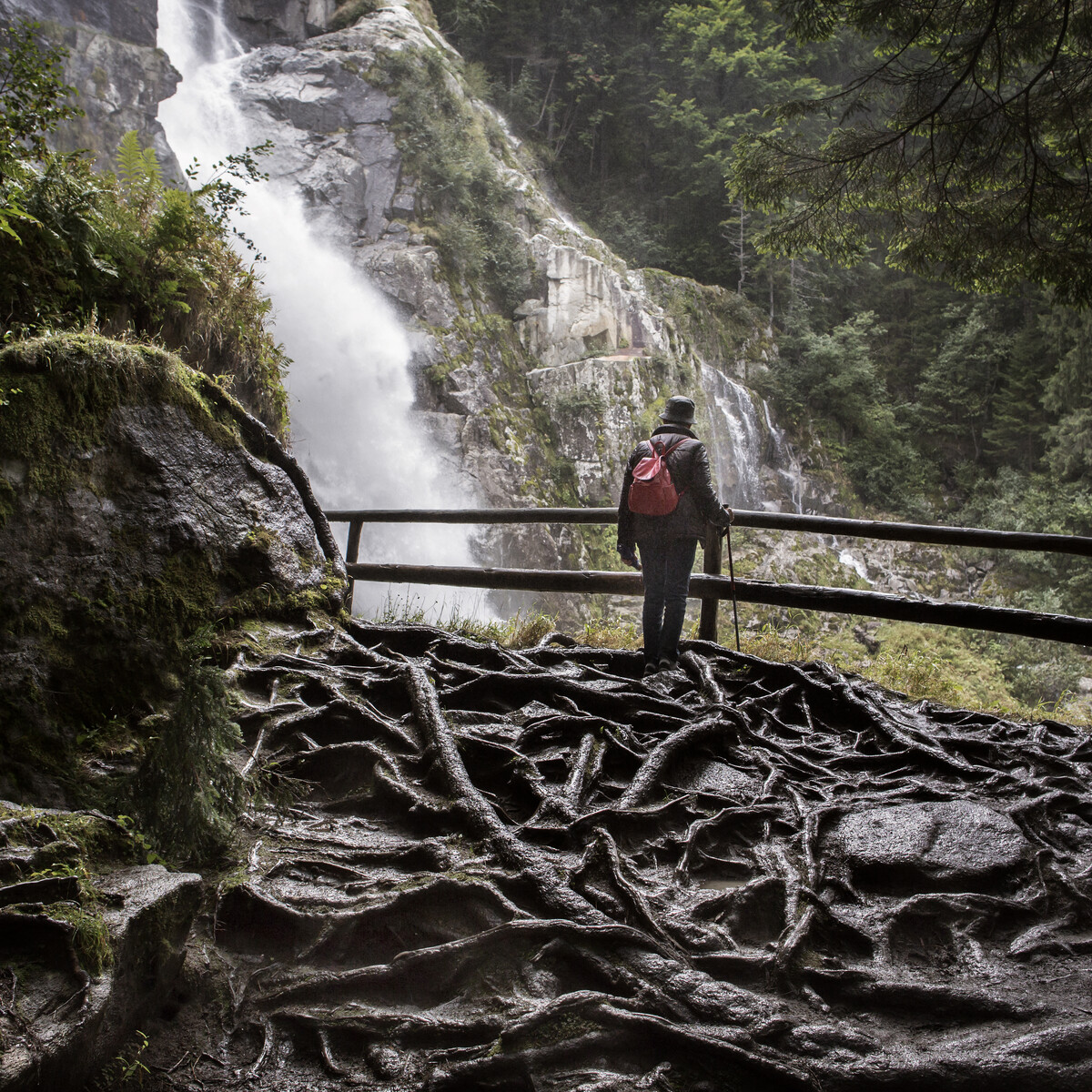 Cascate Nardis: guida alla cascata in Val Genova