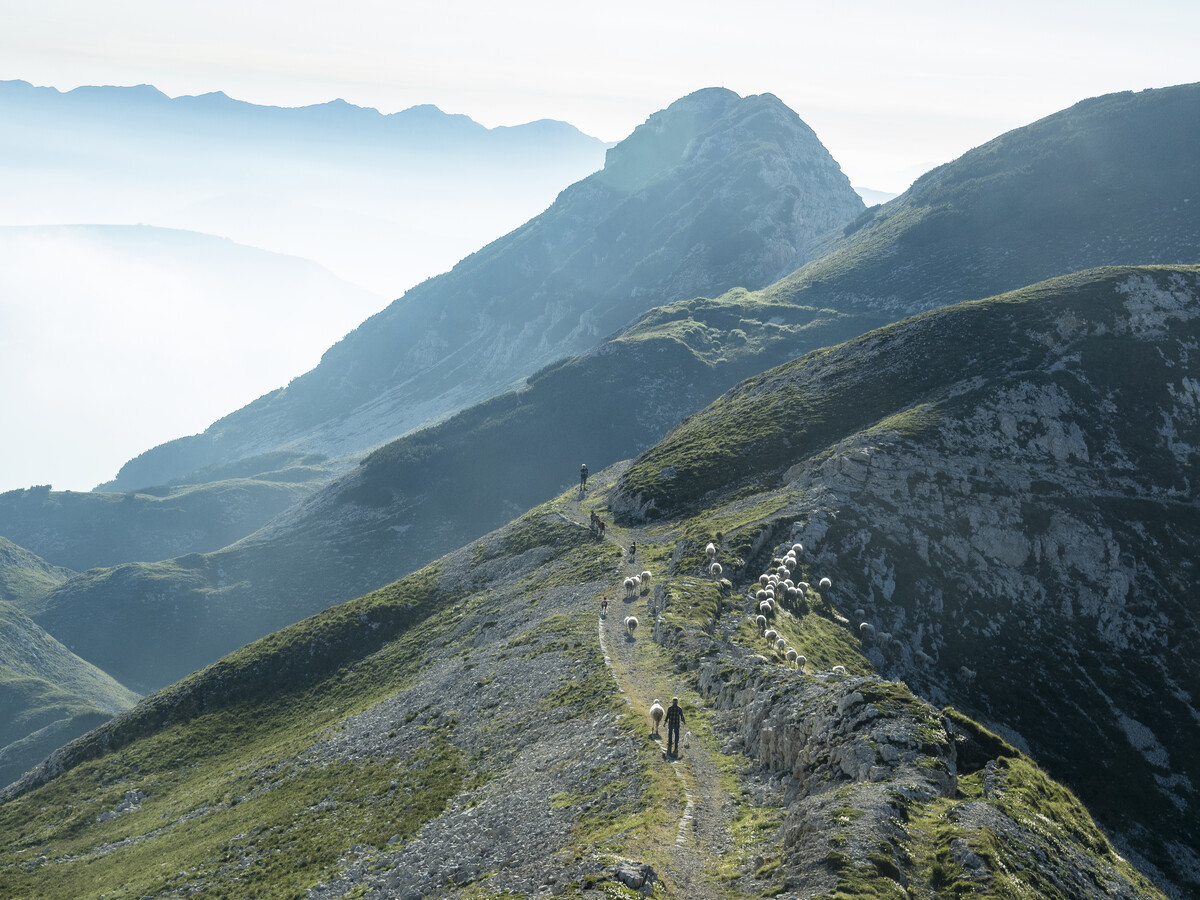 Monti Lessini - Piccole Dolomiti - Guida - Da Vedere - Trentino