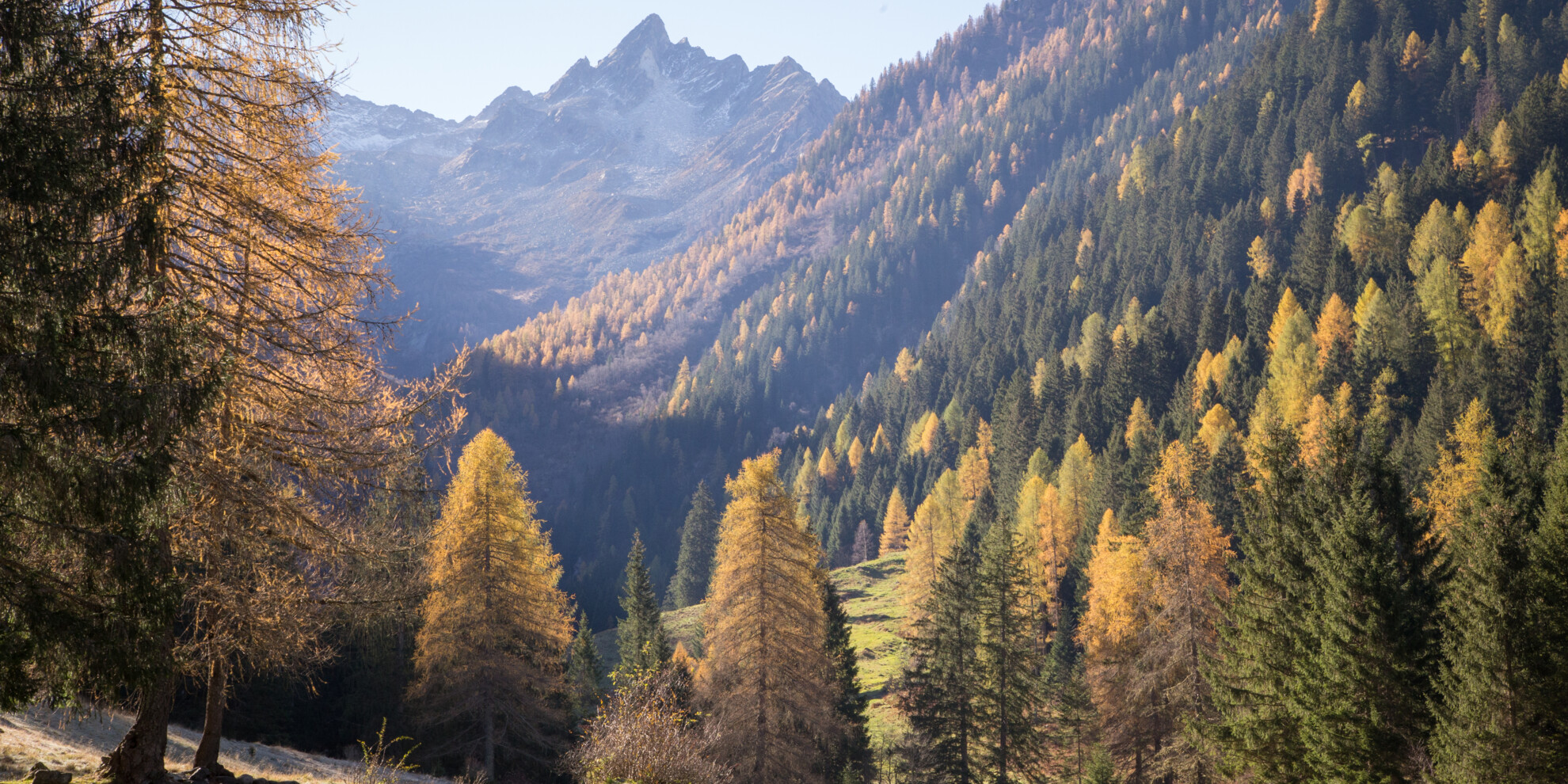 Things to do in Val di Rabbi, Trentino