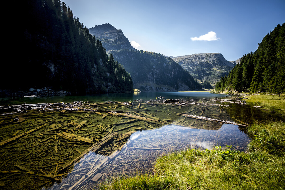 Lago Lagorai - Natura - Laghi - Trentino
