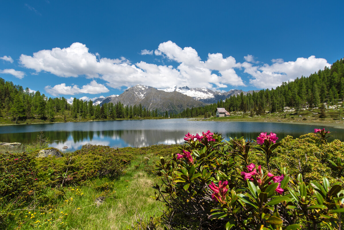 Laghi di S. Giuliano e Garzonè - Natura - Laghi - Trentino