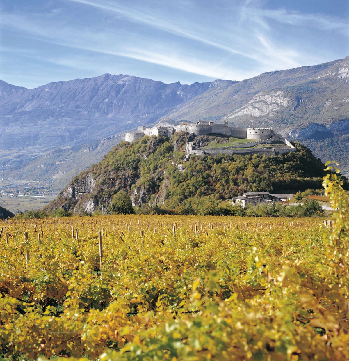Discovering vineyards and castles on your bike