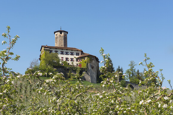 Castel Cles - Sightseeing - Castles