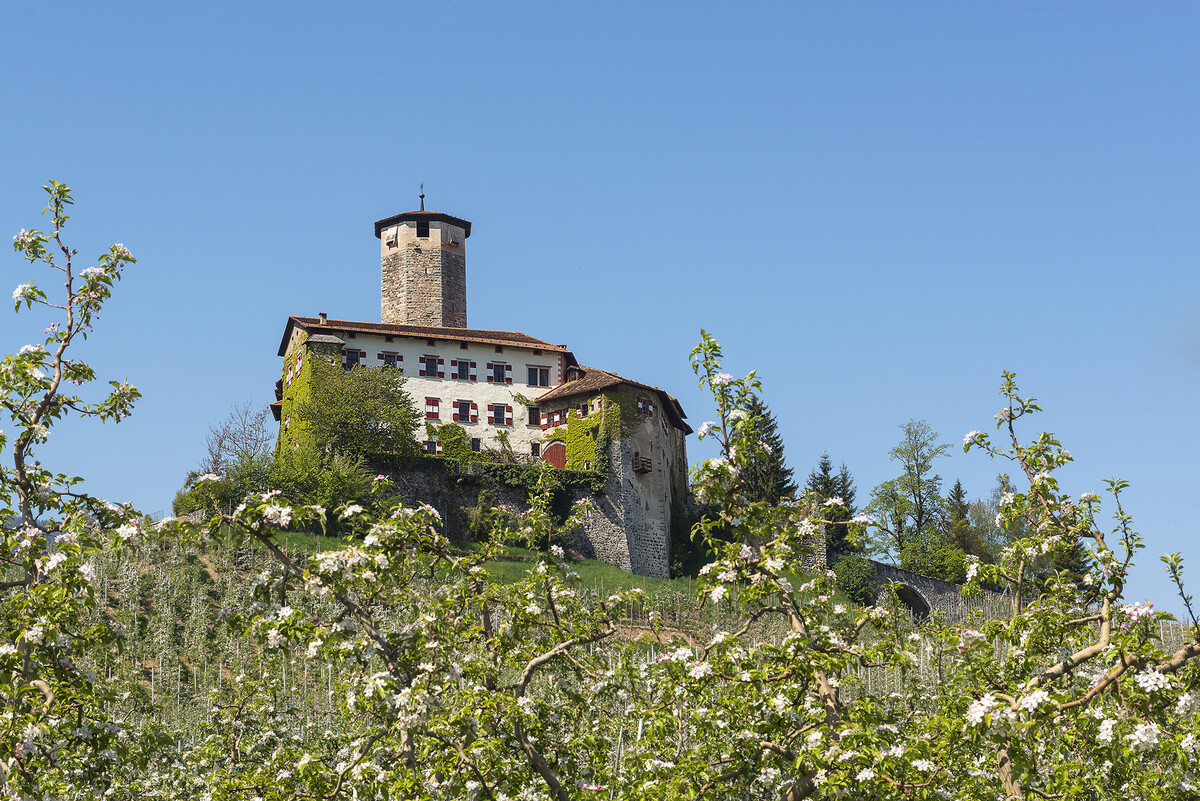 Castel Valer - Da Vedere - Castelli - Trentino