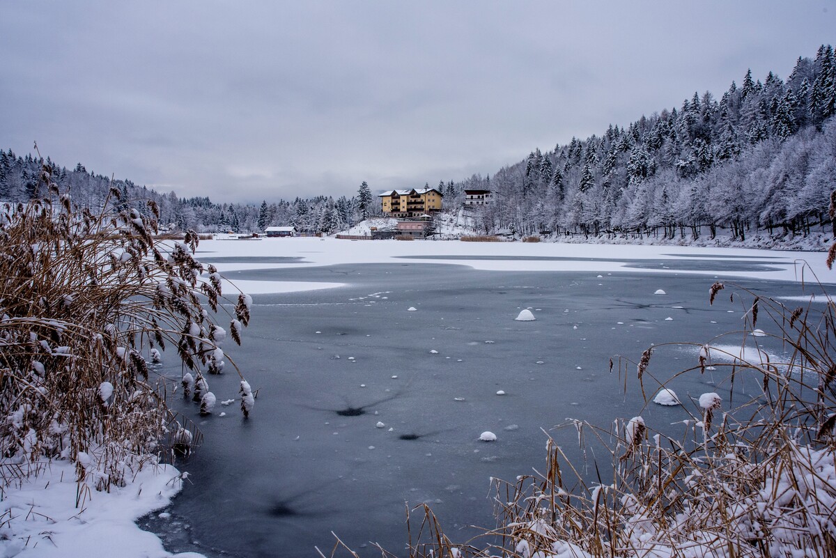 Lago di Lavarone - Natura - Laghi - Trentino